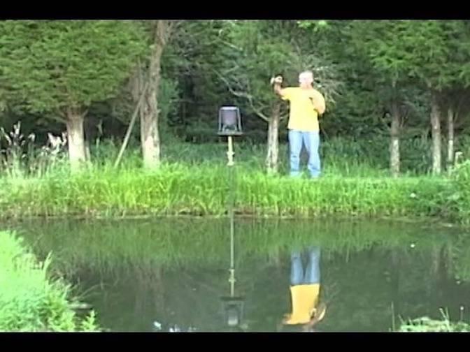 Catching Small Fish in a Small Pond | Videos | Randall Wingett | Gan ...