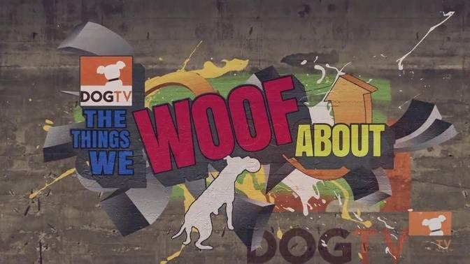 Things We Woof About Rover - Episode 1 | Pet Mates | Gan Jing World