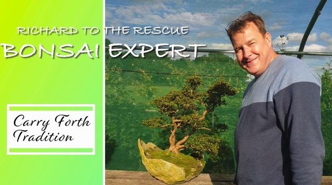 Bonsai Expert - Richard Reah - To the Rescue! | Videos | Carry Forth ...