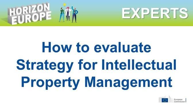 How to evaluate the Strategy for Intellectual Property Management in ...